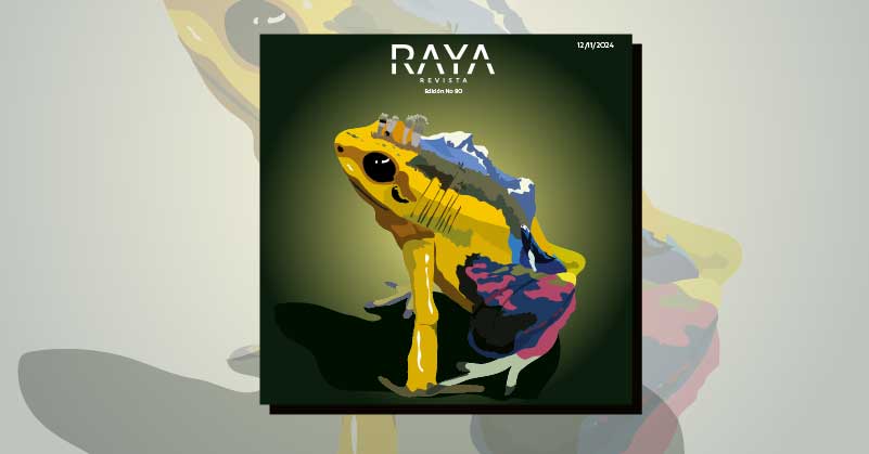 Inicio - Revista RAYA